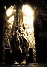 Wamphyri Aerie | JediMUD Wiki | Fandom