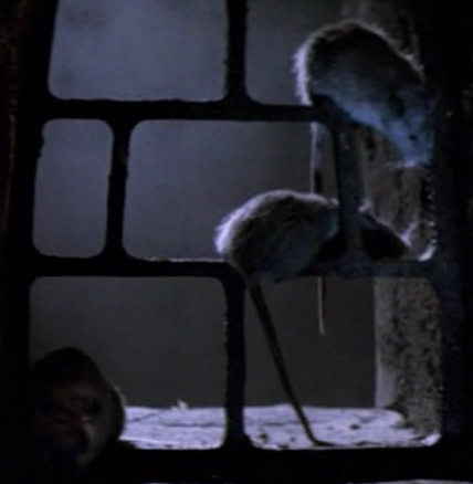 Ratte | Jedipedia | Fandom