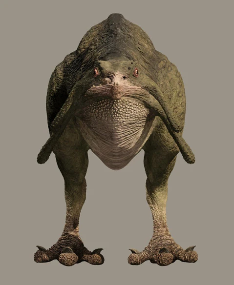 Nuna | Jedipedia | Fandom