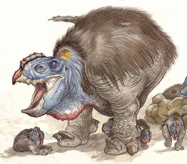 Woodoo | Jedipedia | Fandom