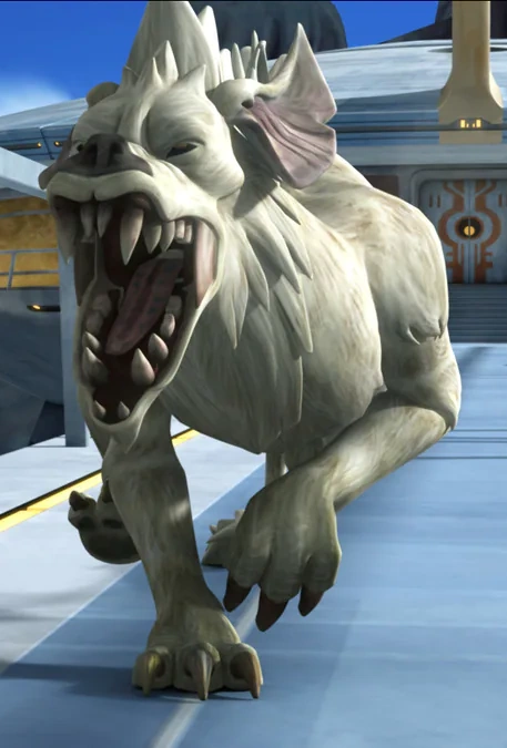 Anooba | Jedipedia | Fandom