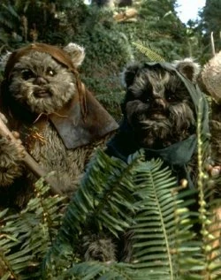Ewok | Jedipedia | Fandom