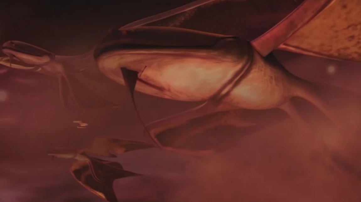 Neebray-Manta | Jedipedia | Fandom