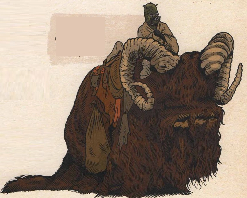 Bantha | Jedipedia | Fandom