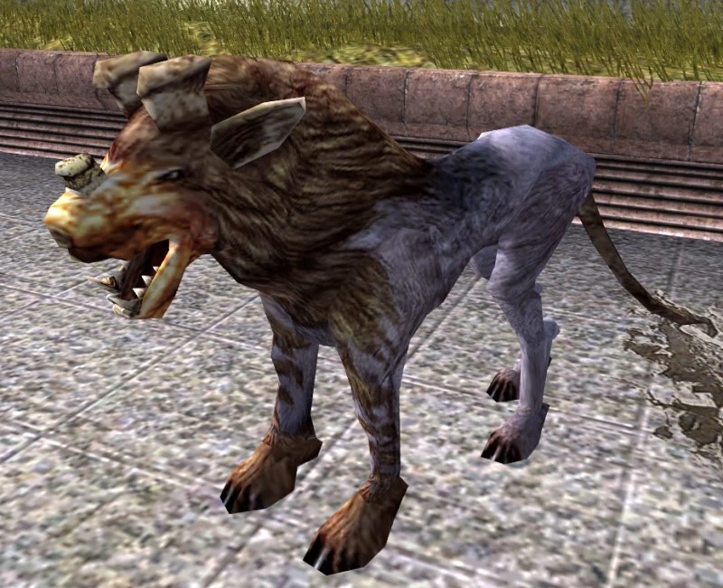 Kath-Hund | Jedipedia | Fandom