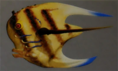 Mee | Jedipedia | Fandom