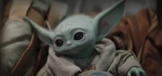 Grogu | Jedipedia | Fandom