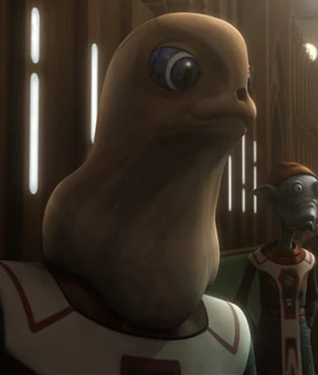 Punn Rimbaud | Jedipedia | Fandom