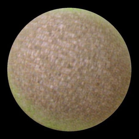 Skako | Jedipedia | Fandom