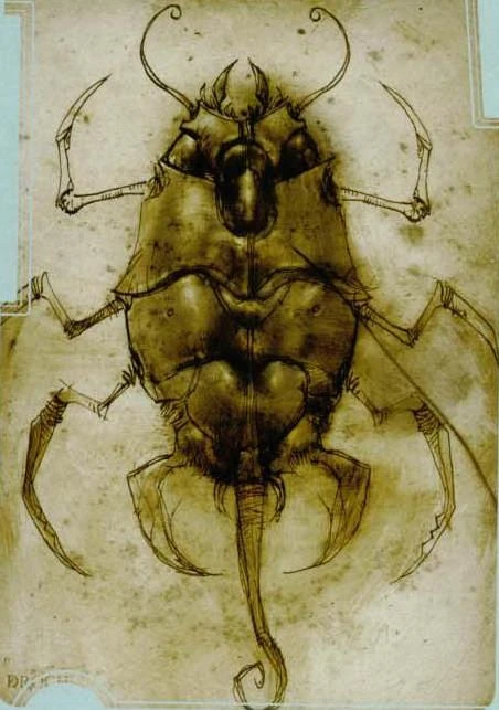 Droch | Jedipedia | Fandom