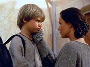 Shmi Skywalker Lars | Jedipedia | Fandom