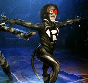 Rumpus Cat | Jellicle Wiki | Fandom
