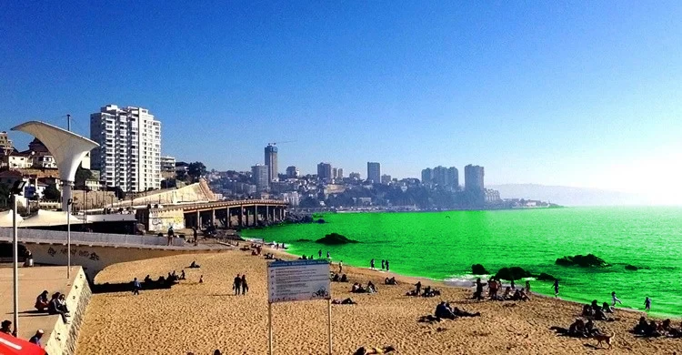 Kurzweilgrado | Wiki Jelly Jamm | Fandom