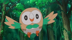 Rowlet (Pokémon) | Jenn's Pokemon Wiki | Fandom