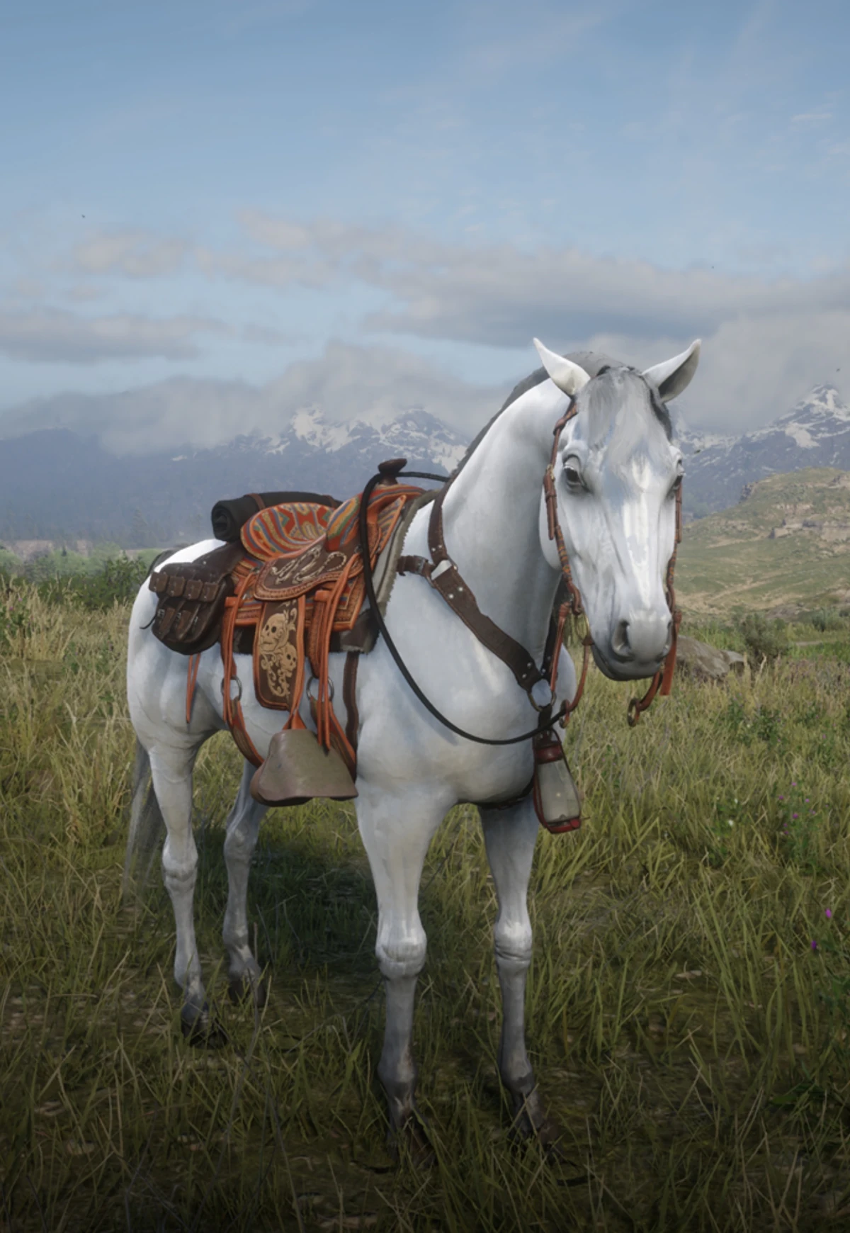 Moondance | Jennycat05 Characters Wiki | Fandom