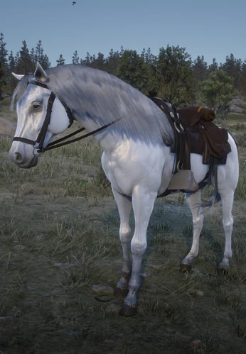 Moondance | Jennycat05 Characters Wiki | Fandom