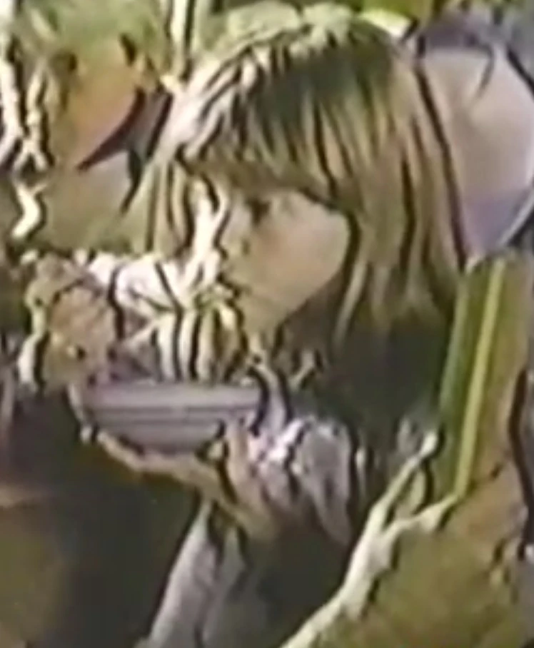 Jennifer | The Jenny Lewis Museum Wiki | Fandom