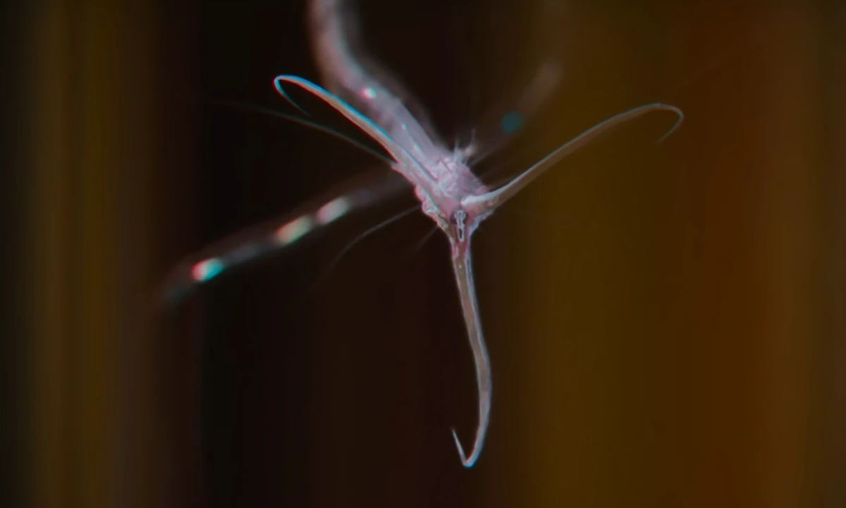 Category:Non-human | Gyeongseong Creature Wiki | Fandom