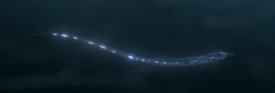 Najin (parasite) | Gyeongseong Creature Wiki | Fandom