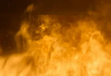 Creature | Gyeongseong Creature Wiki | Fandom