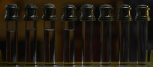 Najin (parasite) | Gyeongseong Creature Wiki | Fandom