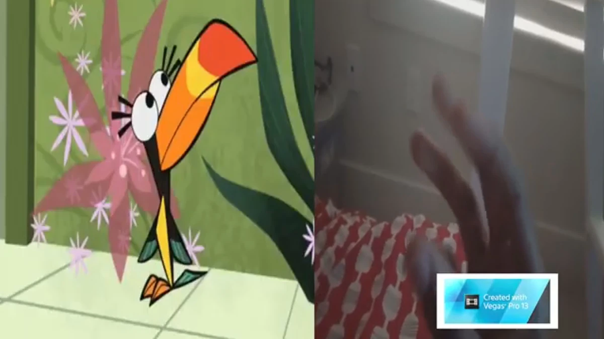 Lupe Toucan and Todd Marcus | Jeremiah Duckett-Trapp Wiki | Fandom