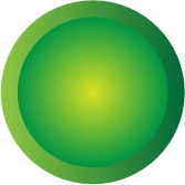 Coin | The Official Jeri Wiki | Fandom