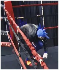 Sonic Dash | Jerma Lore Wiki | Fandom