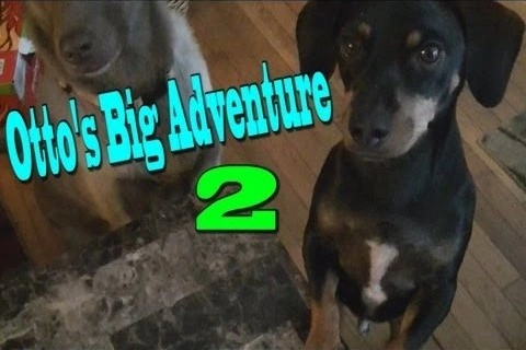 Otto's Big Adventure 2 | Jerma Lore Wiki | Fandom