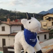 AndyMark | Jerma Lore Wiki | Fandom