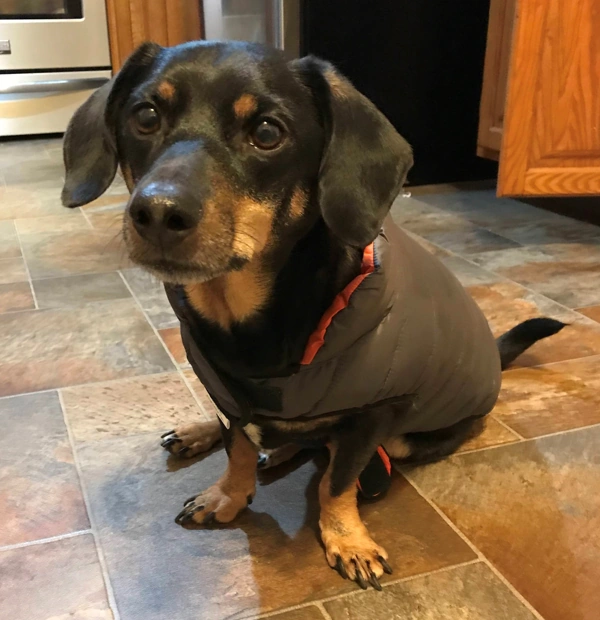 Otto | Jerma Lore Wiki | Fandom