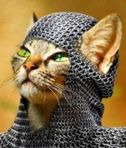 Sir Cat | Roll1D2Games Wiki | Fandom
