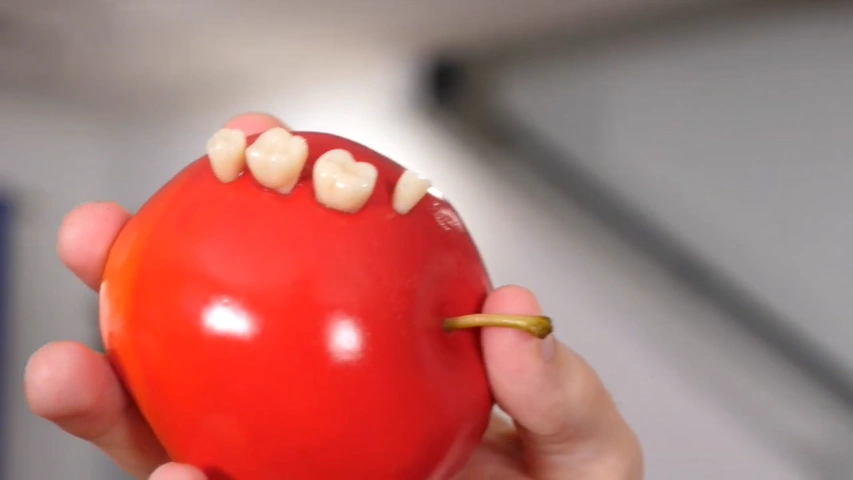 TEETH STUCK IN APPLE! | JesseAndMike Wiki | Fandom