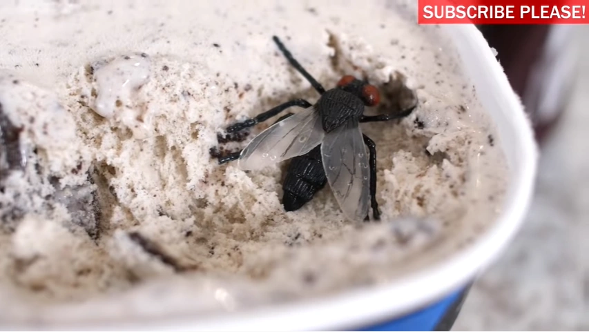 FLY IN ICE CREAM! | JesseAndMike Wiki | Fandom