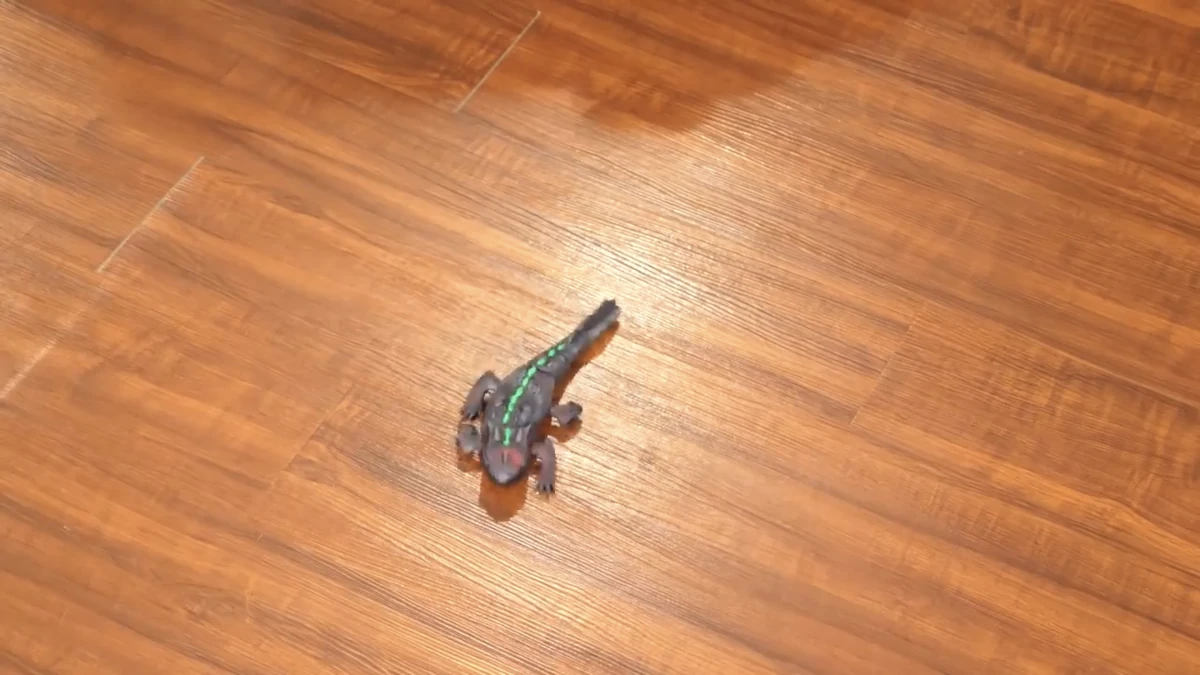 Lizards | JesseAndMike Wiki | Fandom