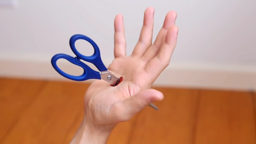 SCISSORS IN HAND! | JesseAndMike Wiki | Fandom