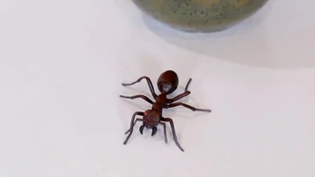 GIGANTIC ANT! | JesseAndMike Wiki | Fandom