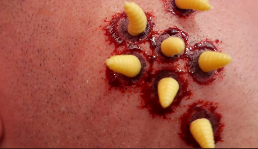 MAGGOTS CRAWL OUT FACE! | JesseAndMike Wiki | Fandom