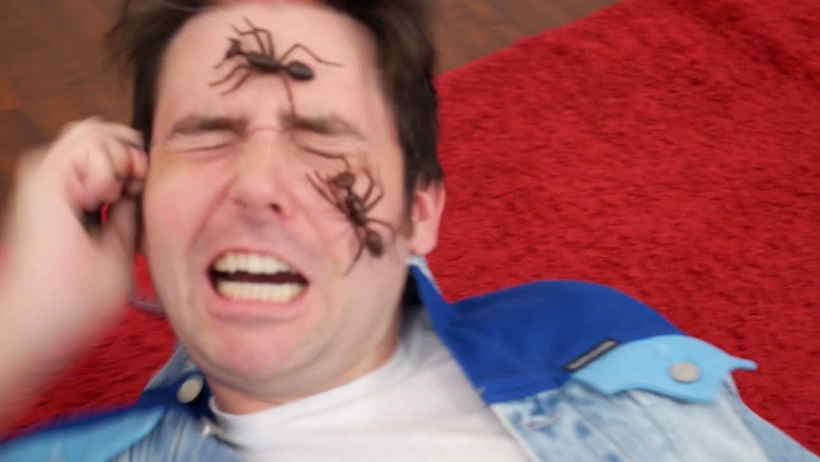 Ants | JesseAndMike Wiki | Fandom