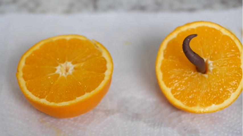 SURPRISE INSIDE FRUIT! | JesseAndMike Wiki | Fandom