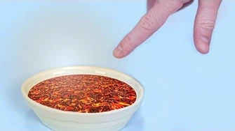 FINGER IN LAVA! | JesseAndMike Wiki | Fandom