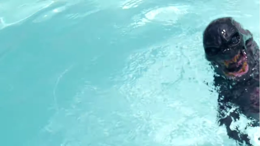 BABY ALIEN FOUND IN POOL! | JesseAndMike Wiki | Fandom