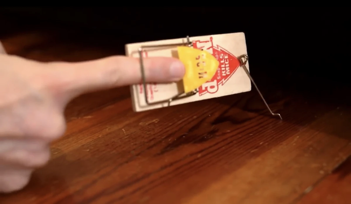 FINGER IN MOUSETRAP! | JesseAndMike Wiki | Fandom