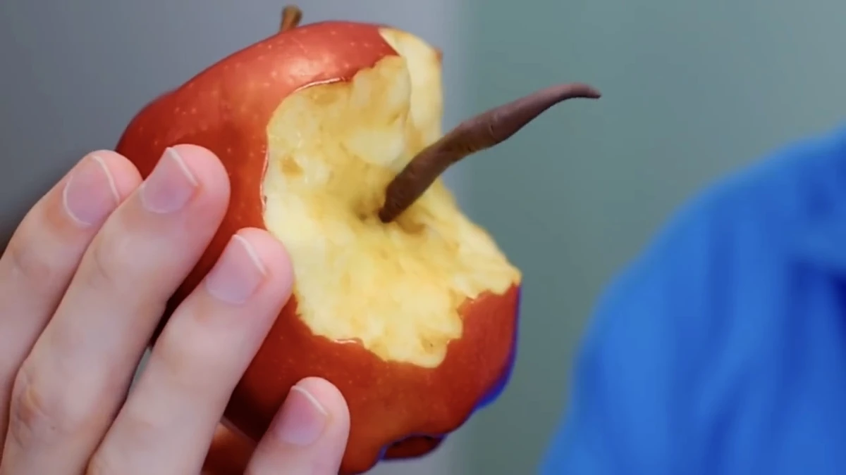 WORM IN APPLE! | JesseAndMike Wiki | Fandom