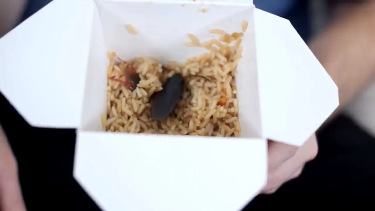 COCKROACH IN RICE! | JesseAndMike Wiki | Fandom