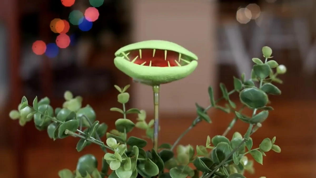 Venus Flytrap | JesseAndMike Wiki | Fandom