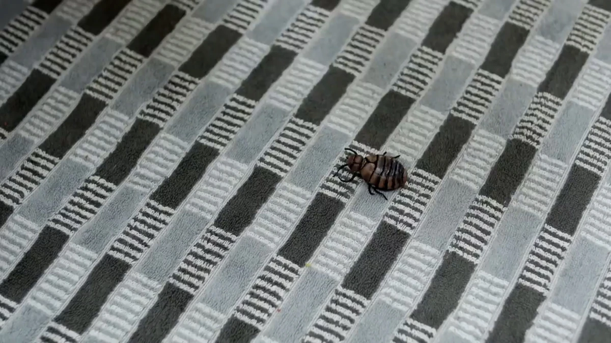 GIANT BED BUG! | JesseAndMike Wiki | Fandom