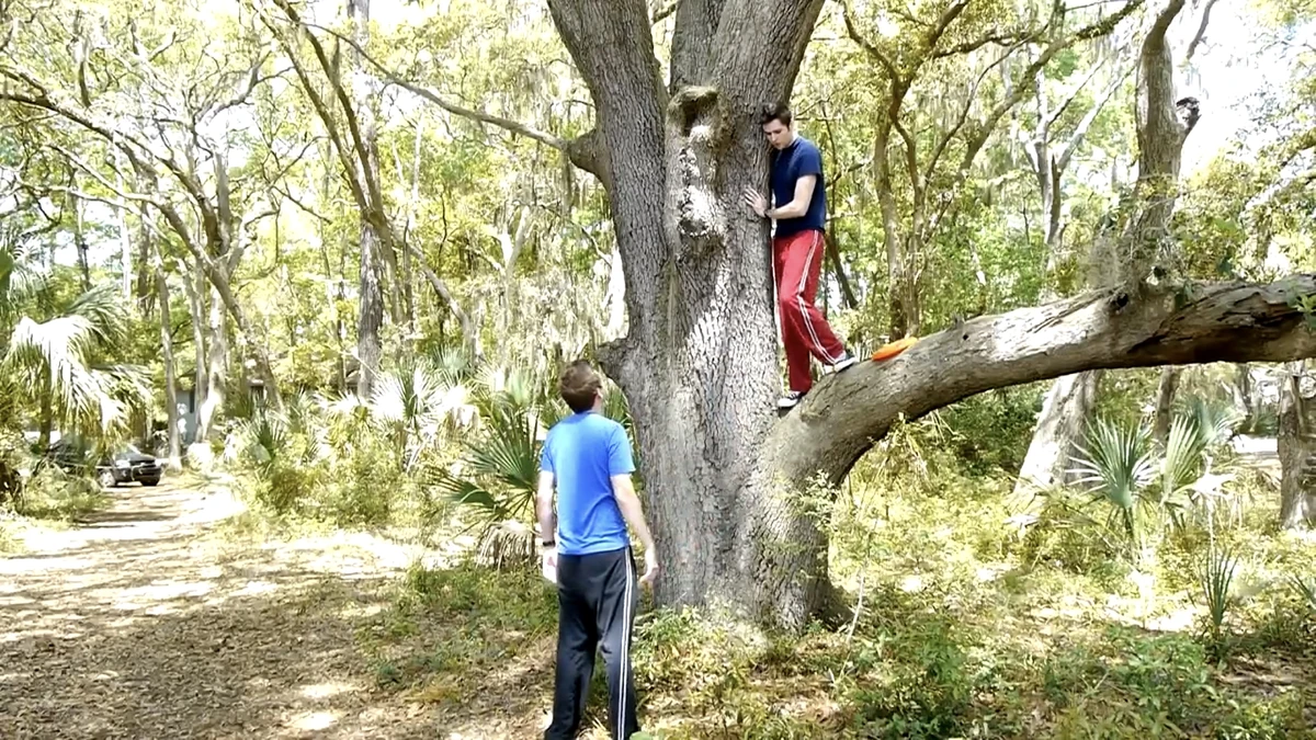 GUY STUCK IN TREE! | JesseAndMike Wiki | Fandom