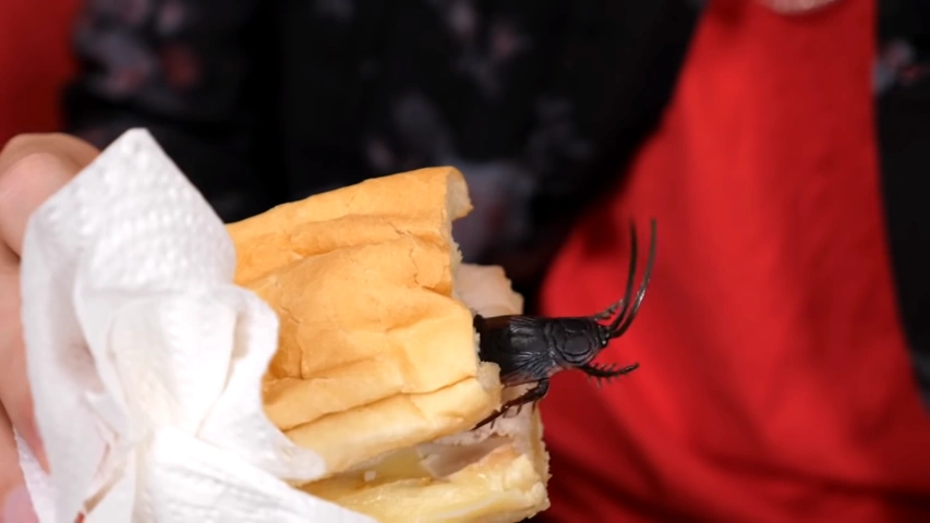 ROACH ON SANDWICH! | JesseAndMike Wiki | Fandom