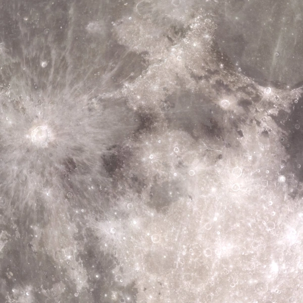 Jacob | Jessica's The Challenge Wiki | Fandom